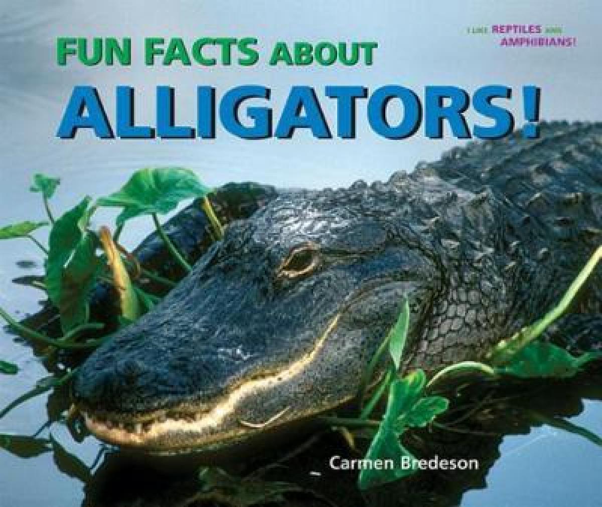 Fun Facts About Alligators! | Read Pacific | Reading Books & Resources ...