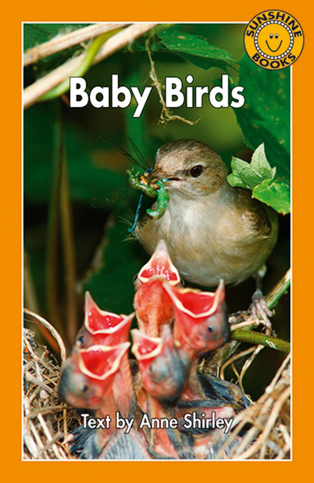 Baby Birds Level 22 Sunshine Books | Read Pacific | Reading Books ...