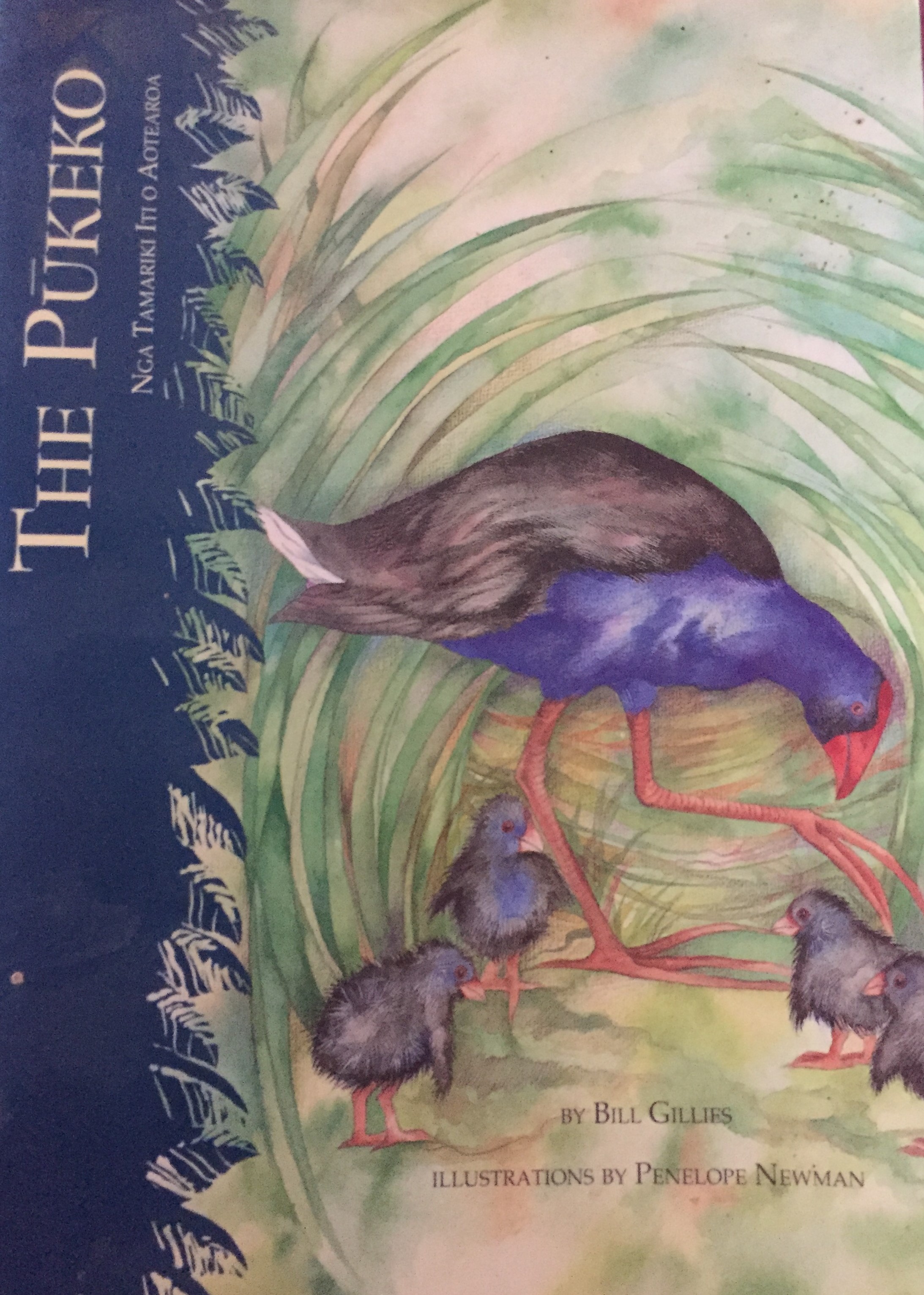 The Pukeko: Nga Tamariki Iti o Aotearoa | Read Pacific | Reading Books ...