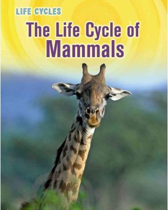 The Life Cycle of Mammals | Read Pacific | Reading Books & Resources ...